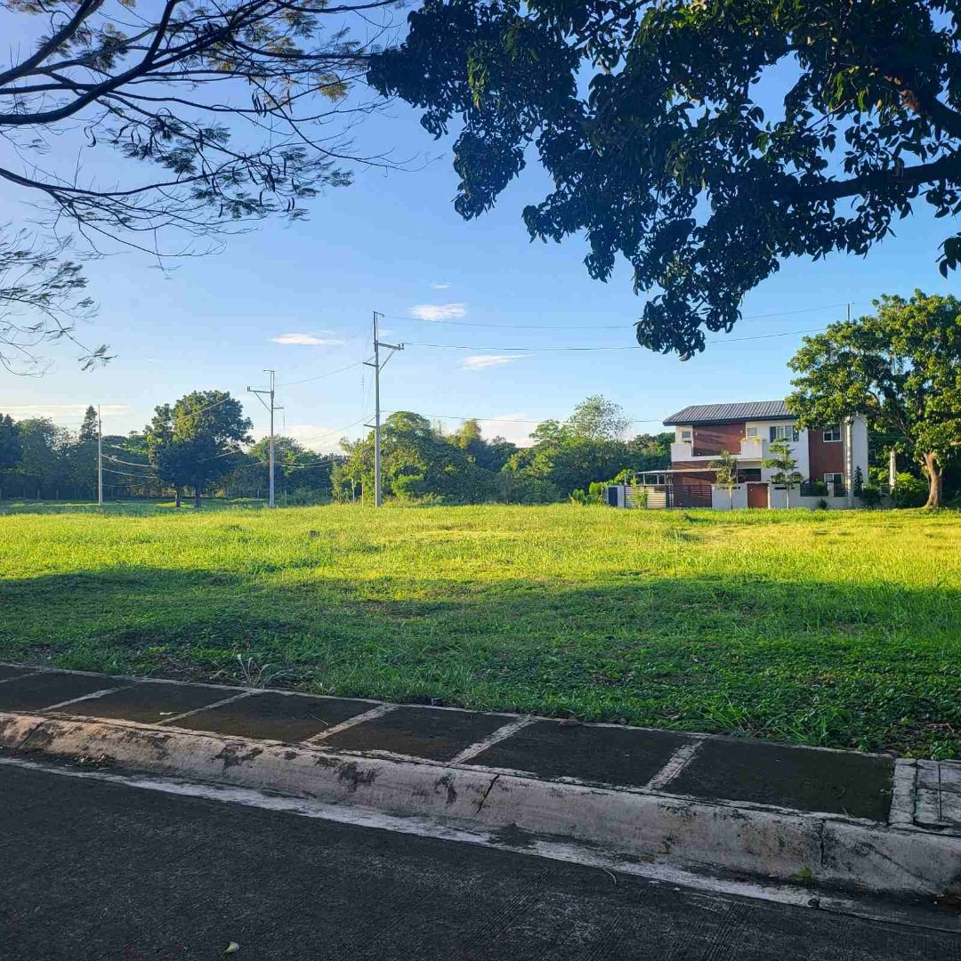 437 Sqm Inner Lot Property For Sale In Manila Southwoods Residential ...