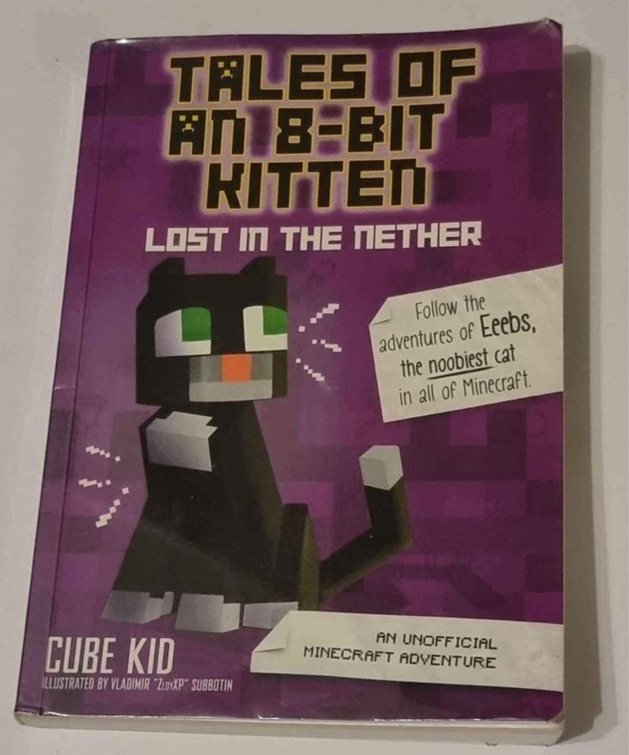 Minecraft book 1 and 2 (read description), Hobbies & Toys, Books ...