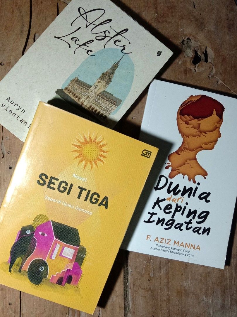 [TAKE ALL] NOVEL ALSTER LAKE, SEGI TIGA, DAN DUNIA DARI KEPING INGATAN, Buku & Alat Tulis, Buku ...