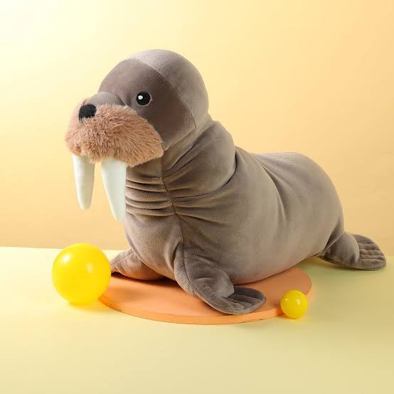 Walrus Ocean Animal Plush Toy by Miniso, Hobbies & Toys, Toys & Games ...
