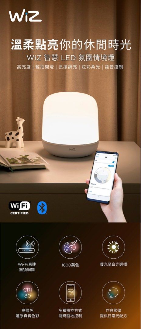 WiZ 智慧照明 LED氛圍情境燈+智慧插座, 家具及居家用品, 居家裝飾, 其他居家裝飾在旋轉拍賣