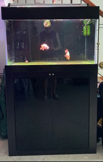 6ft iOS tank and cabinet, Pet Supplies, Homes & Other Pet Accessories ...