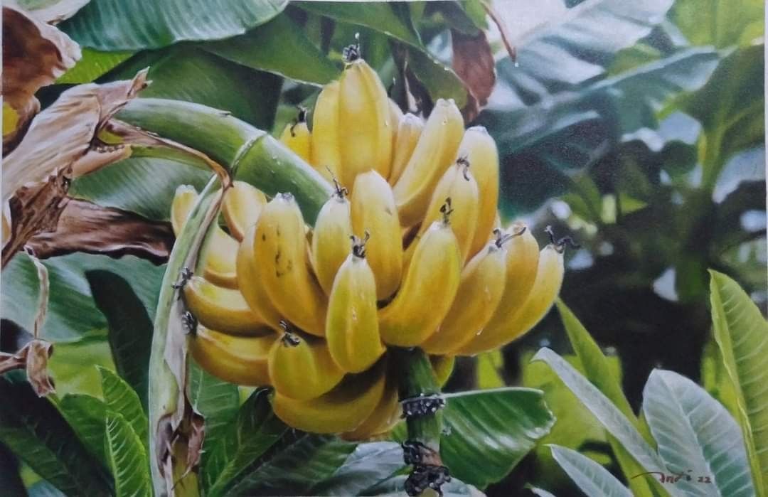 Lukisan Realis Pisang Cat Minyak, Desain & Kerajinan Tangan, Karya Seni ...