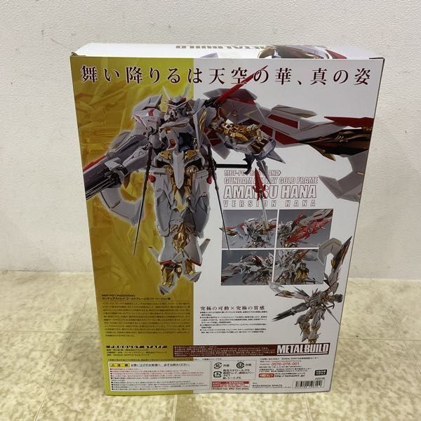 METAL BUILD 機動戰士鋼彈 SEED ASTRAY 天空の皇女 鋼彈異端 黃金框, 興趣及遊戲, 玩具 & 遊戲類 - Carousell