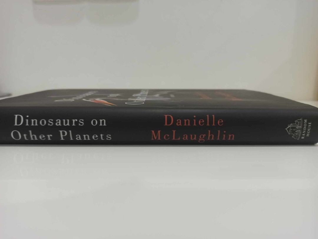 Dinosaurs on Other Planets: Stories - Danielle McLaughlin, Hobbies ...