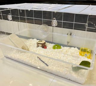 Hamster Acrylic Cage 100x50x50, Pet Supplies, Homes & Other Pet ...