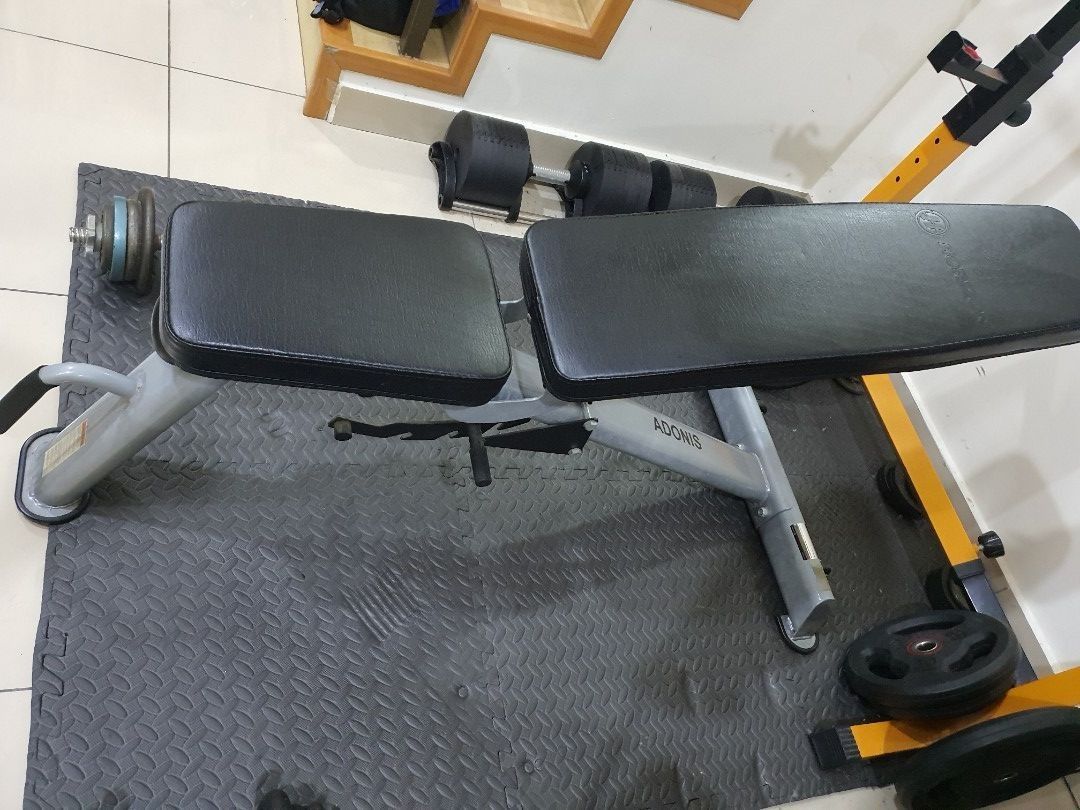 Horizon heavy duty adjustable gym bench, Sports Equipment, Exercise ...
