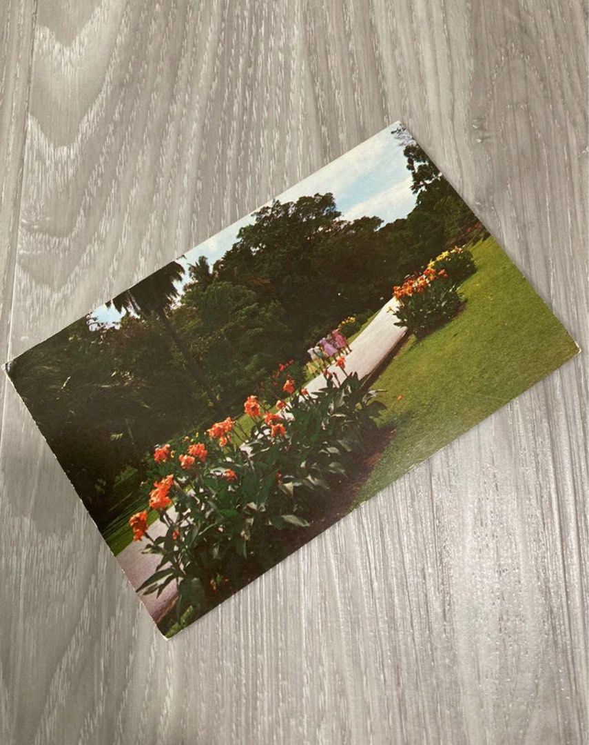 Vintage Singapore Botanic Gardens Postcard, Hobbies & Toys, Memorabilia ...