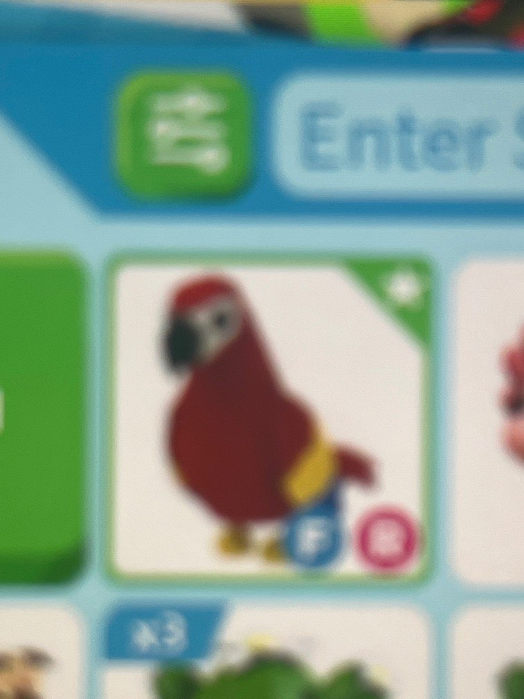 adopt me parrot, Video Gaming, Video Games, Others on Carousell