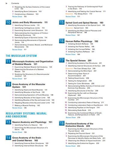 Essentials of Human Anatomy & Physiology Laboratory Manual 7th Edition ...