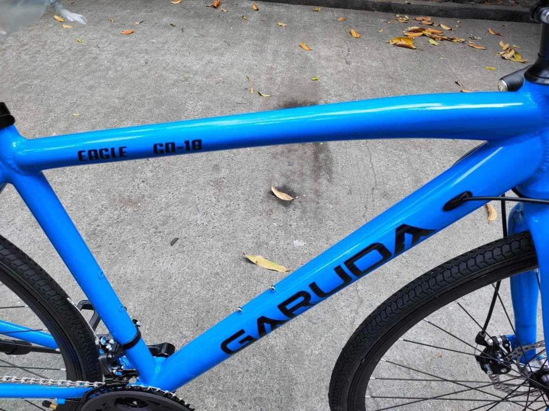 GARUDA EAGLE ALLOY GRAVEL BIKE 2024 (700c x 35c), Sports Equipment ...