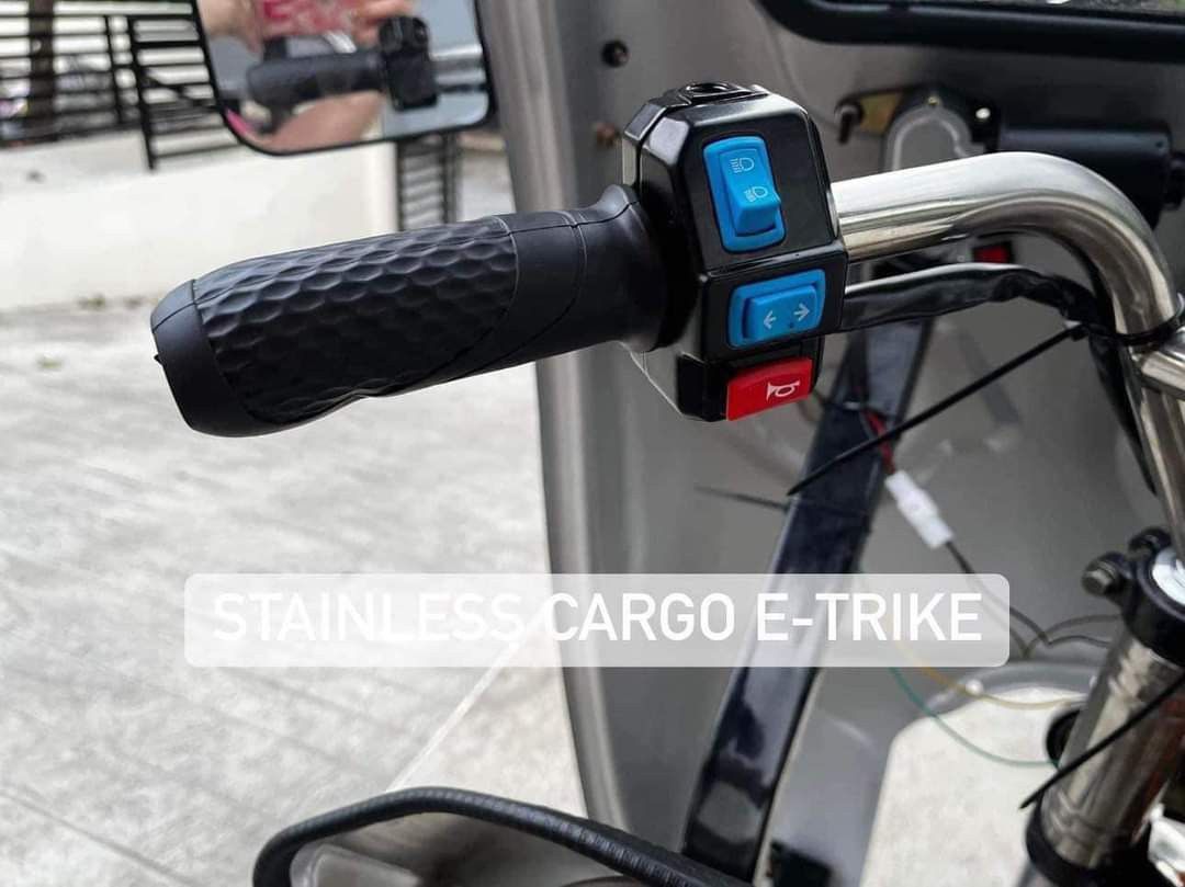STAINLESS CARGO 3WHEELS E-TRIKE WITH BRACKET & TRAPAL, Sports Equipment ...