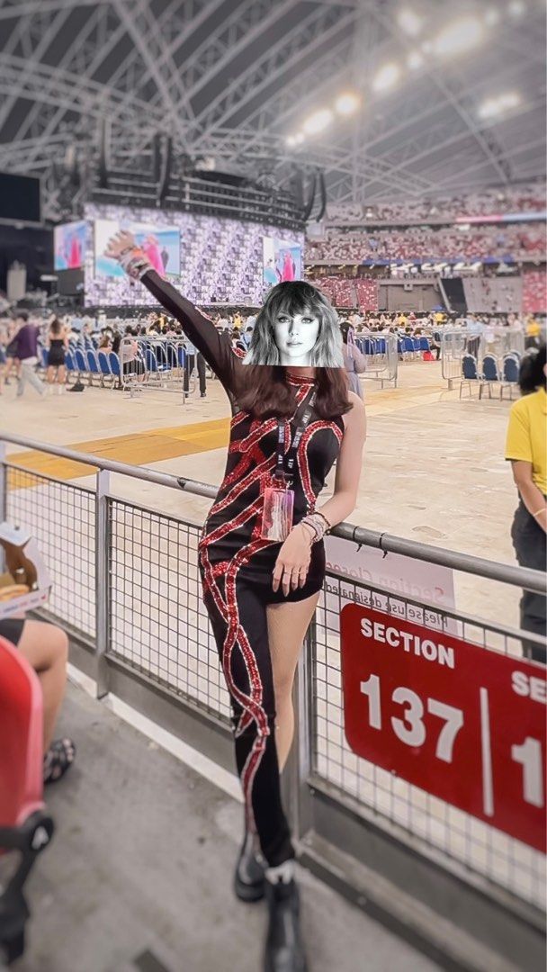 Custom Made Taylor Swift Reputation Costume/Outfit, Women's Fashion ...