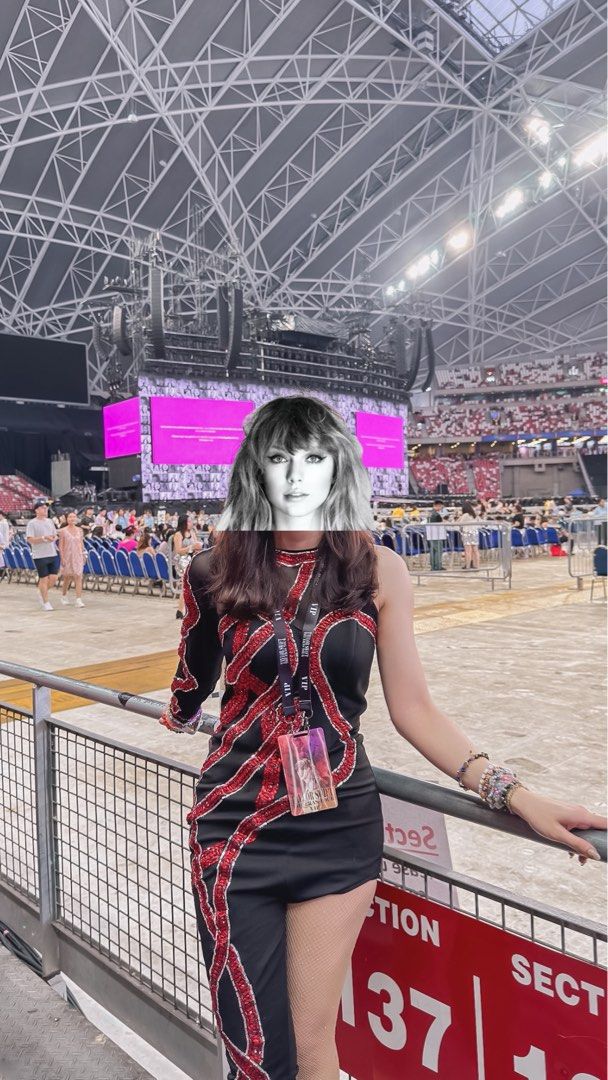 Custom Made Taylor Swift Reputation Costume/Outfit, Women's Fashion ...