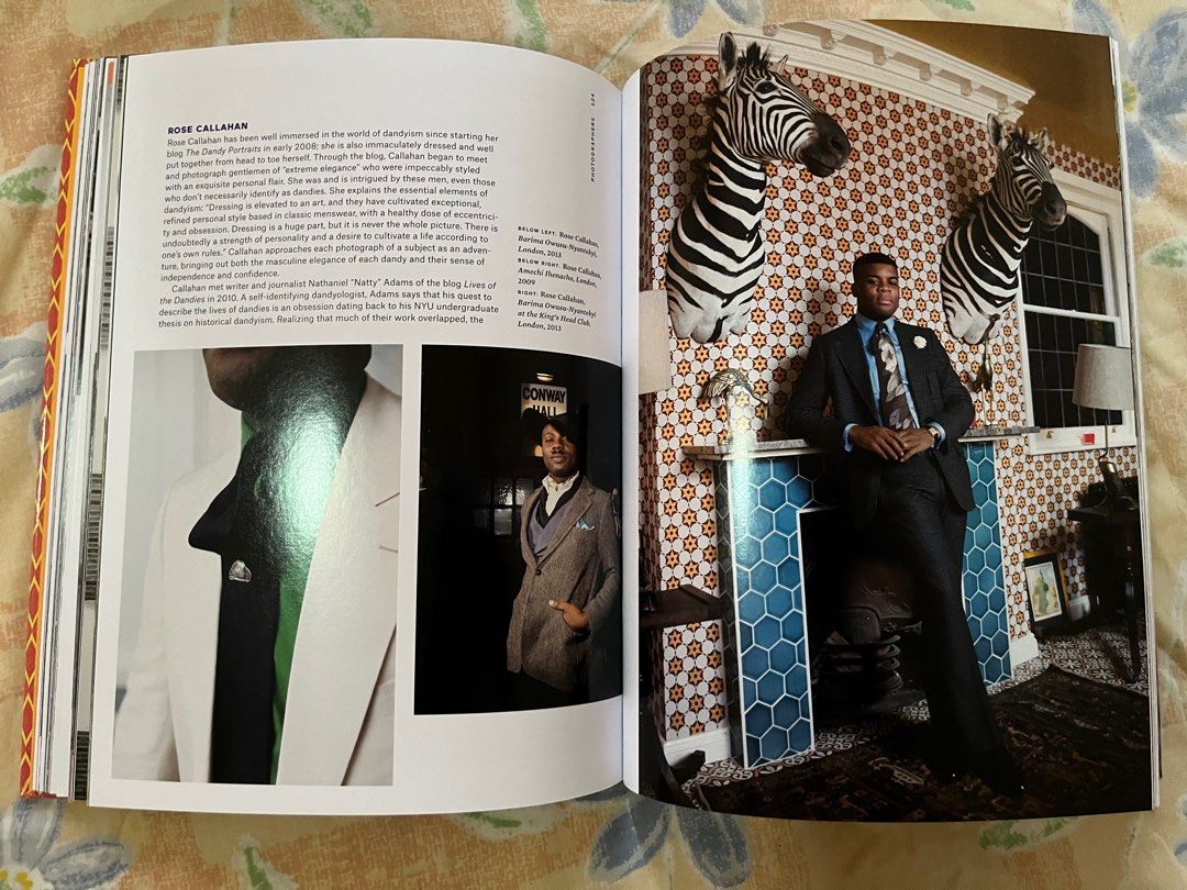 Dandy Lion: The Black Dandy and Street Style, Hobbies & Toys, Books ...