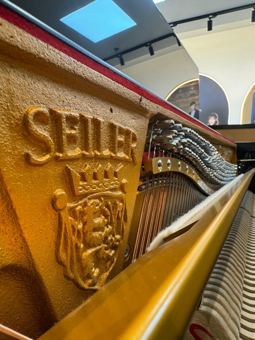 Seiler 116 Ritmo Upright Piano, Hobbies & Toys, Music & Media, Musical ...