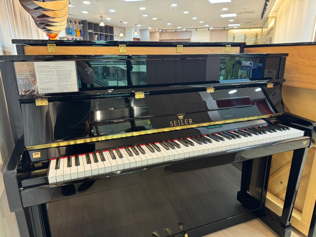 Seiler 116 Ritmo Upright Piano, Hobbies & Toys, Music & Media, Musical ...