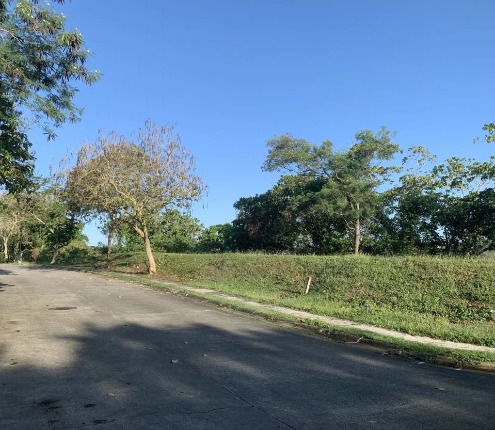 Ayala Westgrove Best Corner Lot For Sale By Ayala Land Premiere Near ...