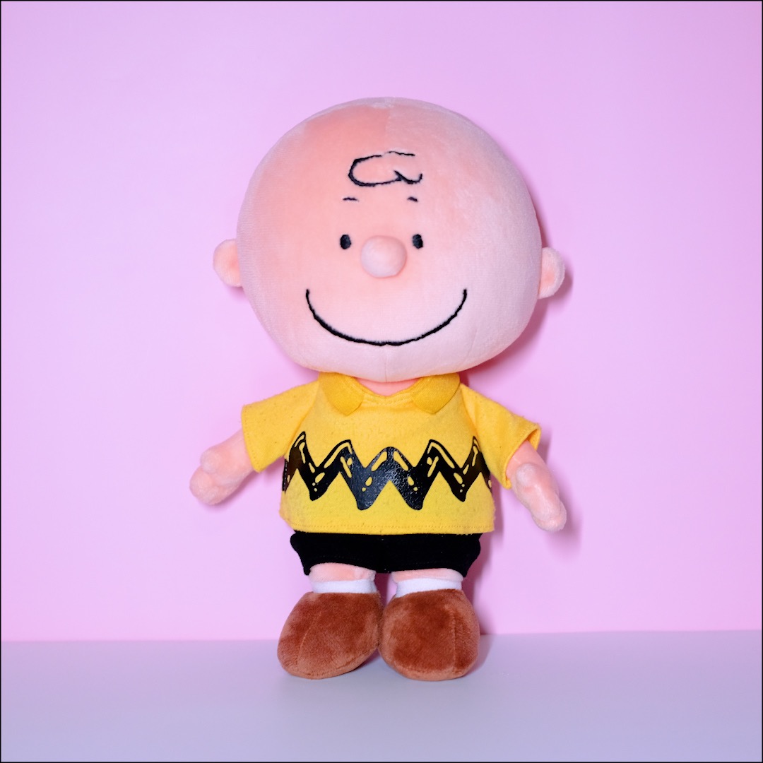 Peanuts Charlie Brown Plush, Hobbies & Toys, Toys & Games on Carousell