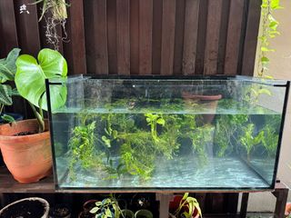 3m long crystal glass fish tank for sale, Pet Supplies, Homes & Other ...