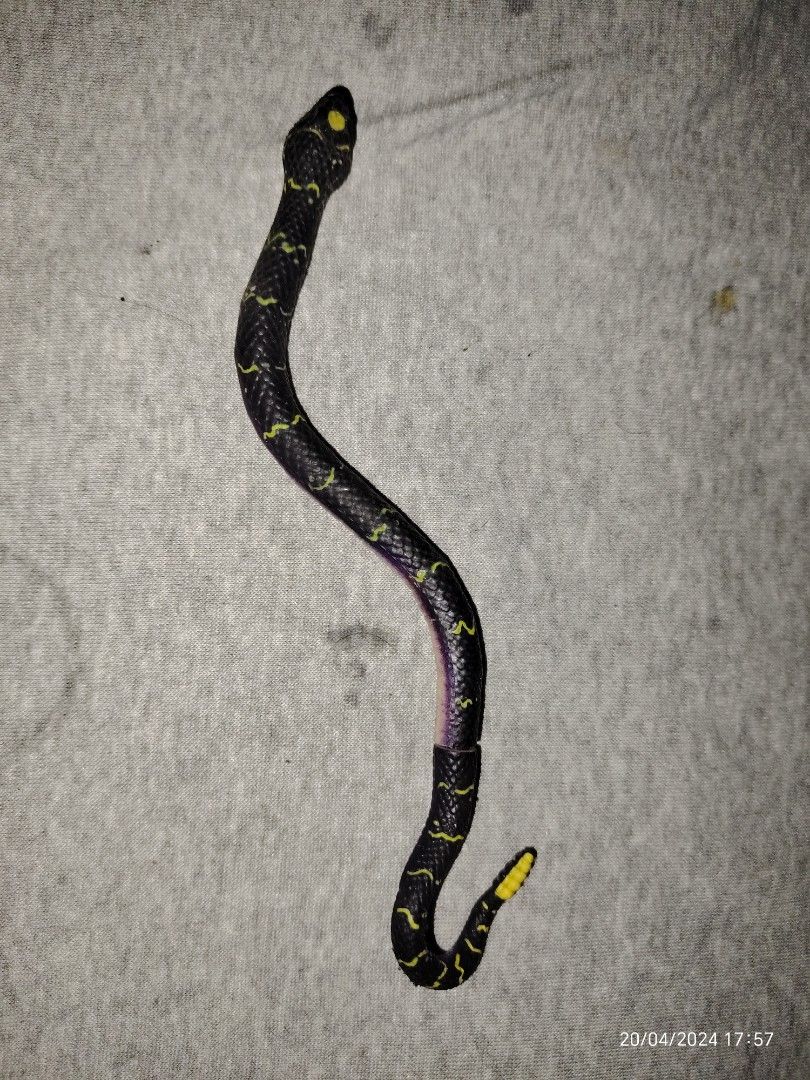 Snake Pen / Pen Ular, Hobbies & Toys, Toys & Games on Carousell