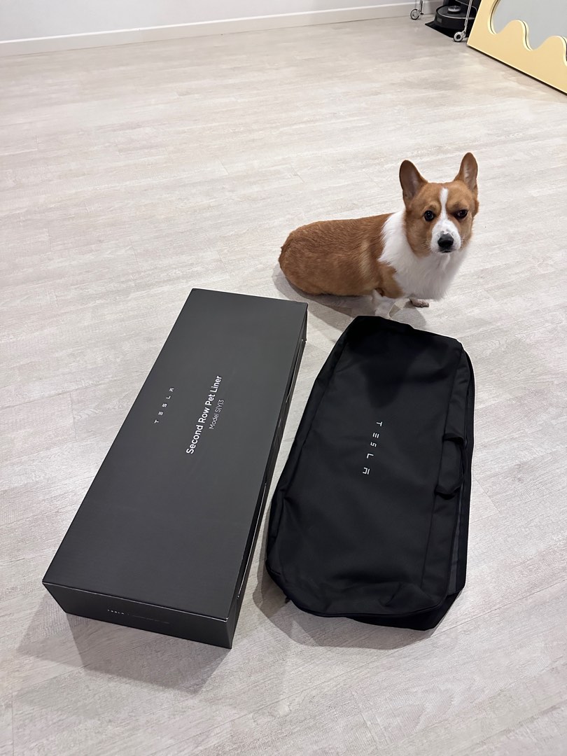 Tesla pet liner, Auto Accessories on Carousell