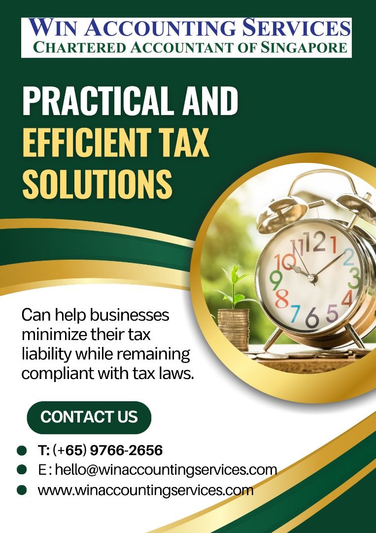 AFFORDABLE ACRA IRAS filing, Accounting Services, Tax, Company ...