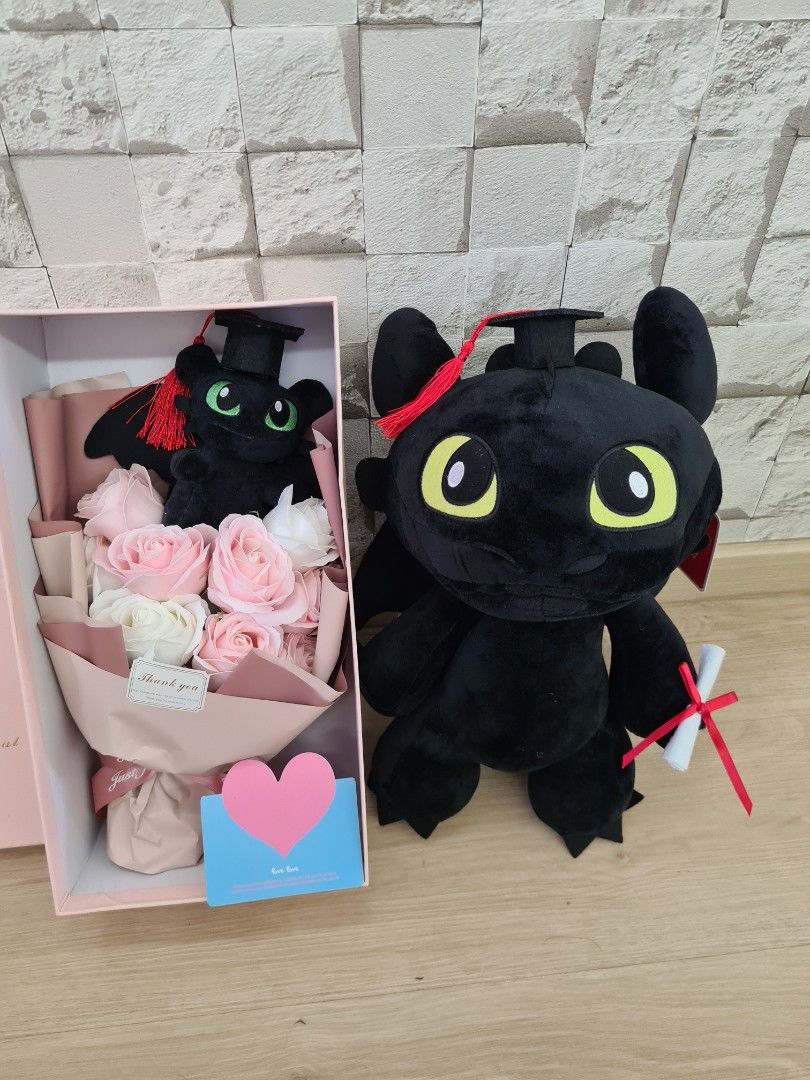 Graduation Toothless plushie, Hobbies & Toys, Toys & Games on Carousell