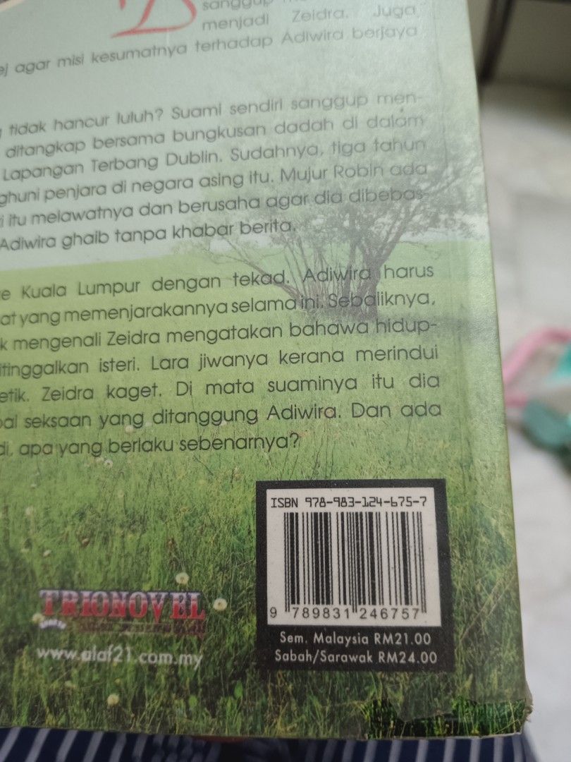 HAIZA NAJWA - AKU YANG MENANTI, Hobbies & Toys, Books & Magazines ...