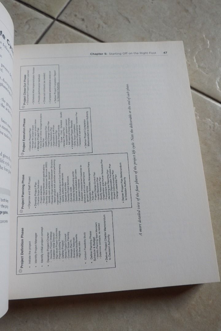 [SELF-HELP] The Idiot's Guide to Project Management: Plan, Organize and ...