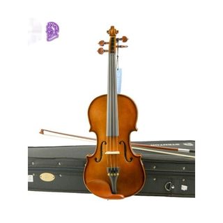 Violin Case, 4/4, Kaori Miyazono, Hobbies & Toys, Music & Media, Musical Instruments on Carousell