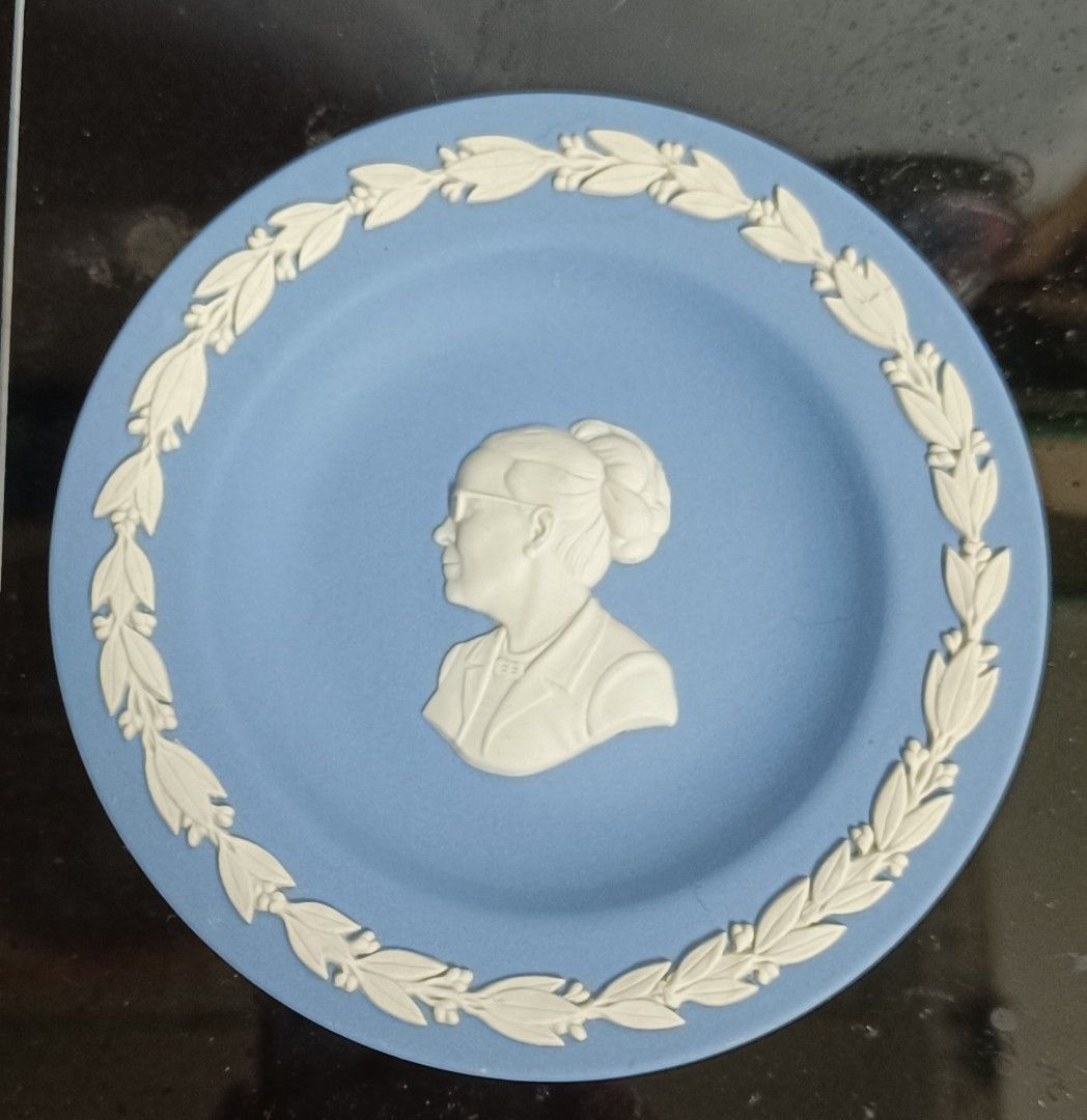Wedgwood Jasper Dr Janet Briggs Plate Limited Rare Exclusive, Furniture ...