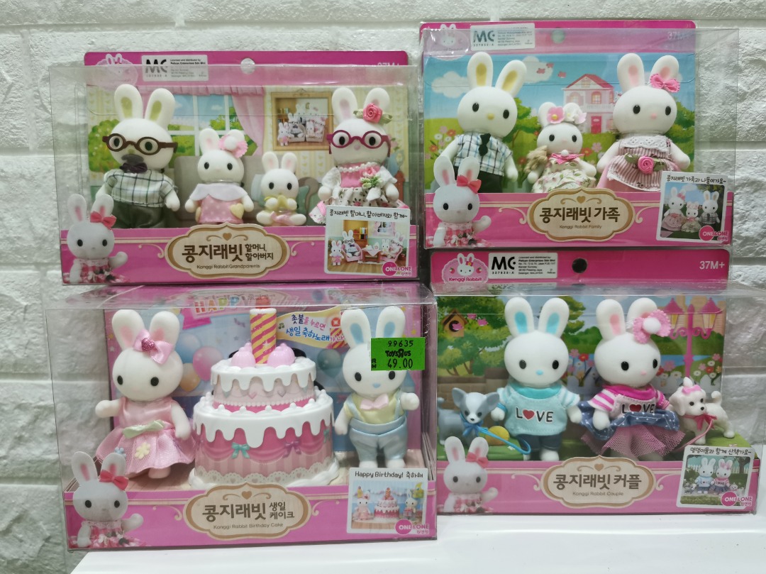 [New] Konggi Rabbit Playset, Hobbies & Toys, Toys & Games on Carousell