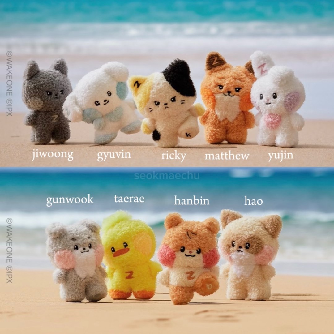 ZEROBASEONE ZERONI official line dolls, Hobbies & Toys, Memorabilia ...