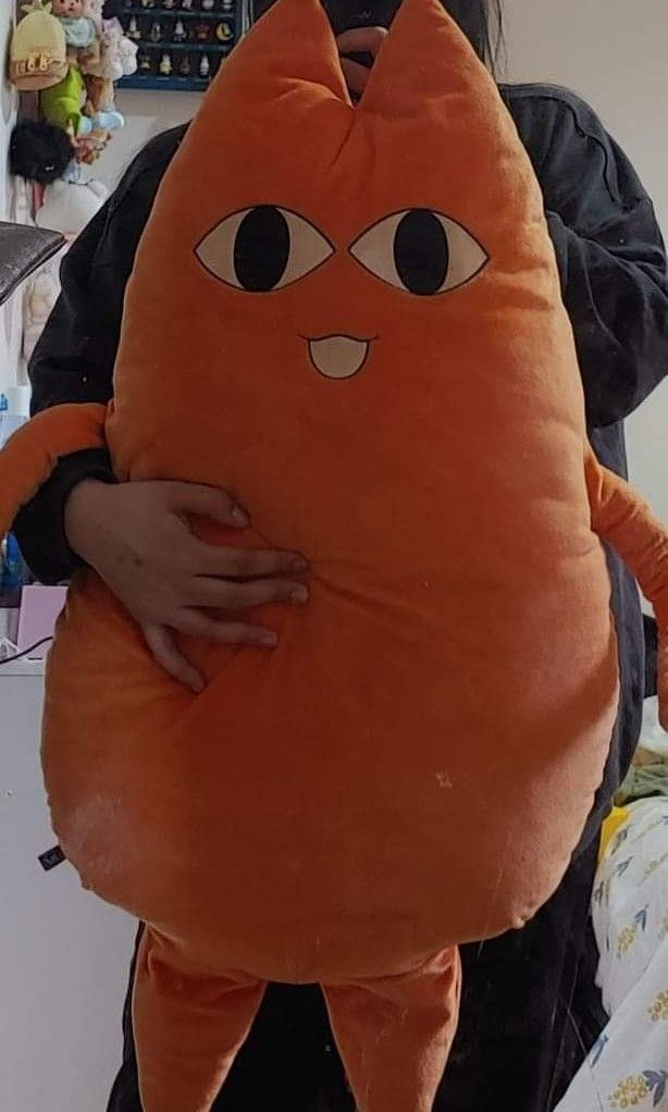Azumanga Daioh Chiyo-chichi life size plush (read description), Hobbies ...
