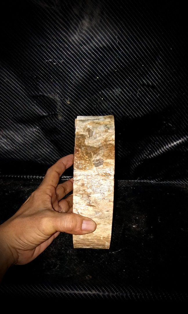 Petrified Wood slab/fosil kayu, Antik, Lainnya di Carousell