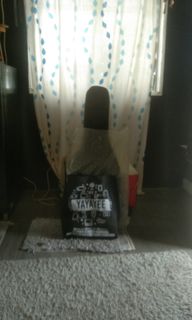 AAS Studio - Cooler Bust, Hobbies & Toys, Toys & Games on Carousell