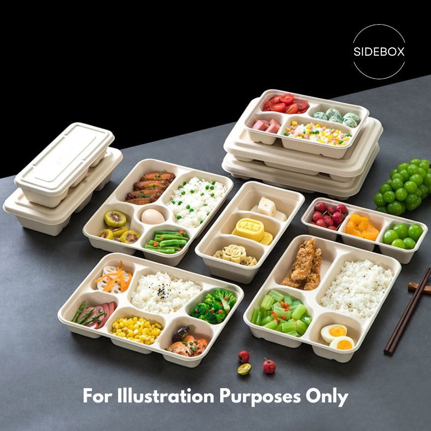 3-Compartment Disposable Bento Box with Clear Lid, Furniture & Home ...