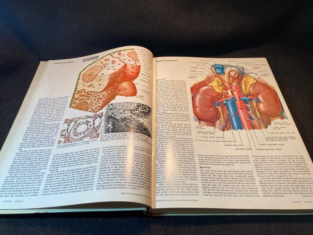 二手書 THE CIBA COLLECTION OF MEDICAL ILLUSTRATIONS VOLUME 6 KIDNEYS ...