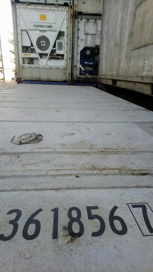 20ft reefer van / reefervan / refrigerated container van, Special ...