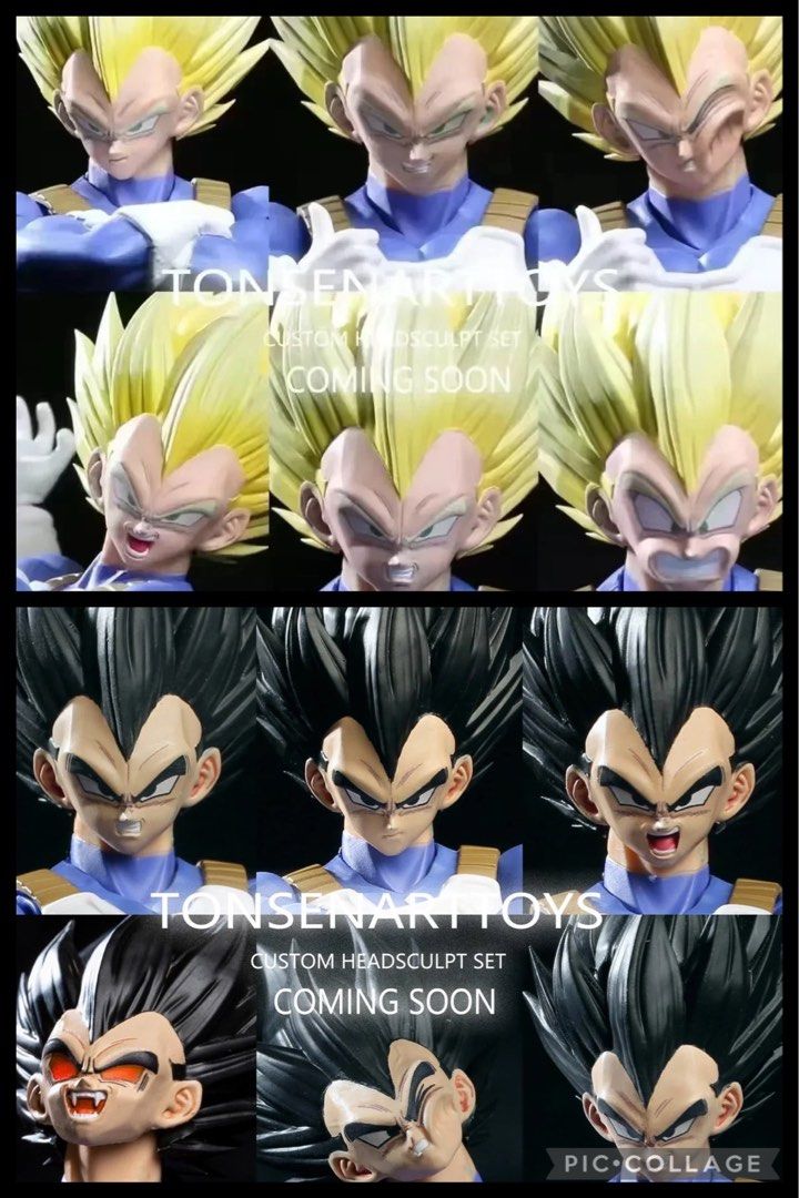 全新 Tonsen Art Toys Arttoys Tonsenarttoys 龍珠 Dragonball 比達 Vegeta 頭雕 頭彫 ...