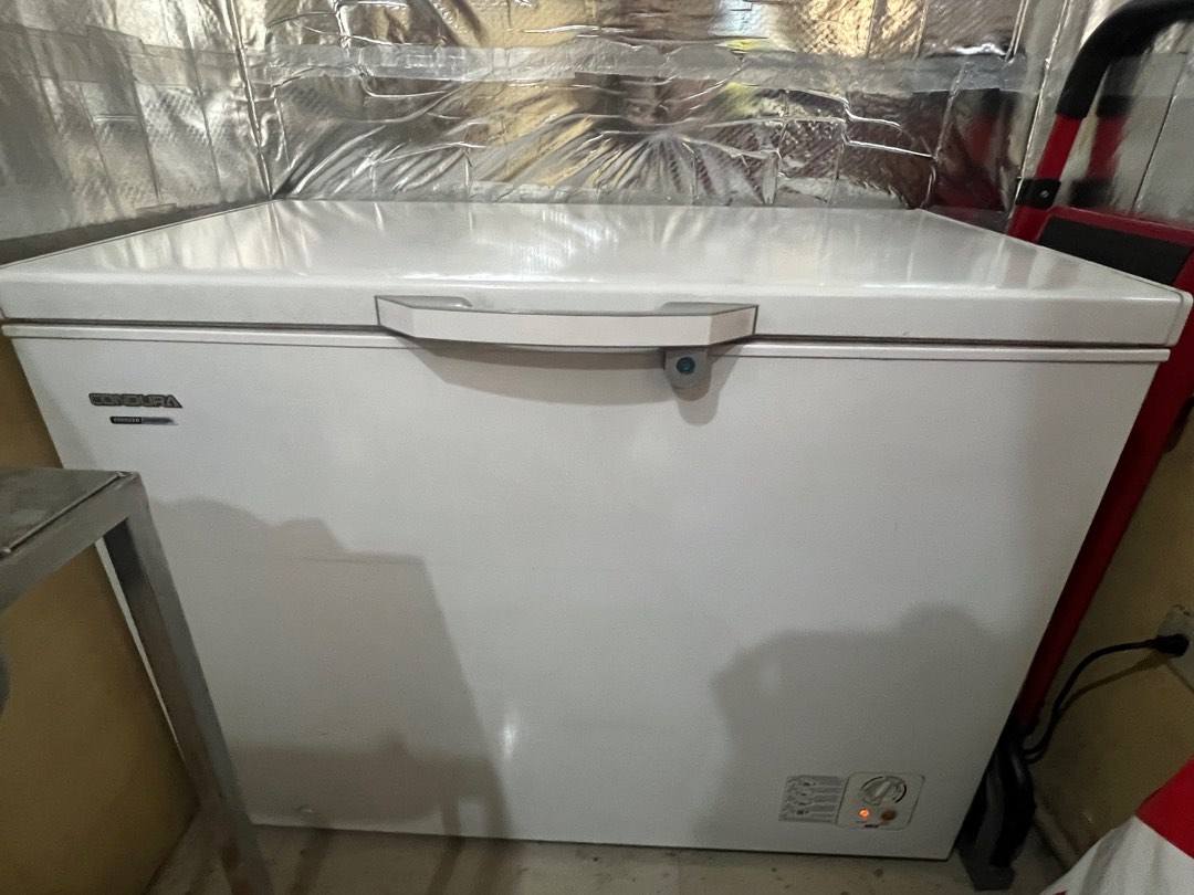 Condura CCF310RI 10.6 cu.ft, Chest Freezer, Inverter, 3 In 1, TV & Home ...