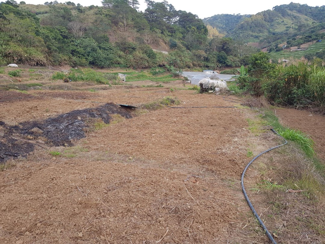 Nueva vizcaya For Sale | Buy 100+ Nueva vizcaya online | Carousell ...