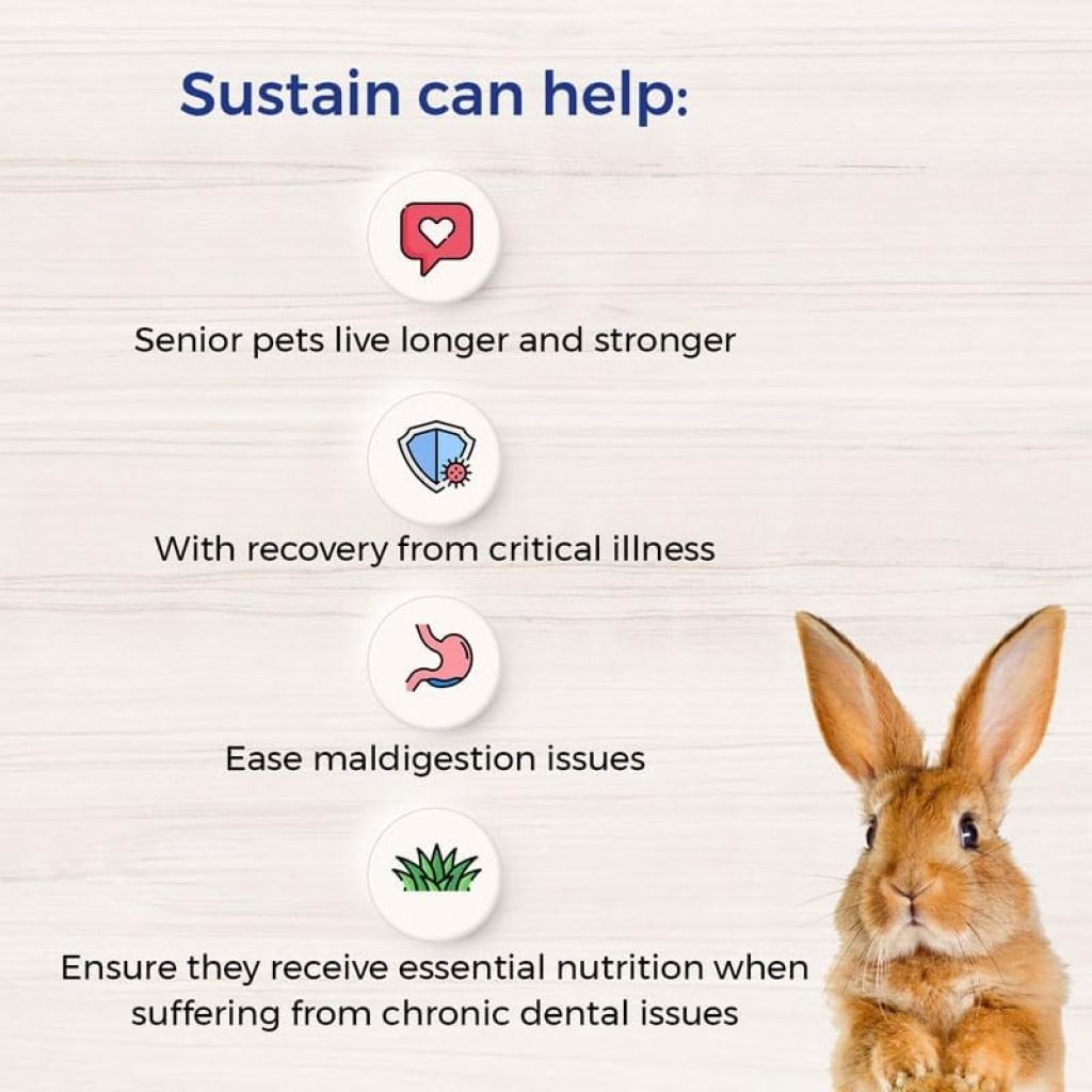 [SG Instock] Emeraid Sustain Herbivore Powder 100/400g Recovery ...