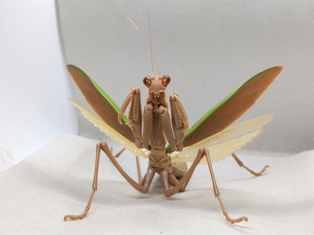 Bandai - Kamakiri Praying Mantis, Hobbies & Toys, Toys & Games on Carousell