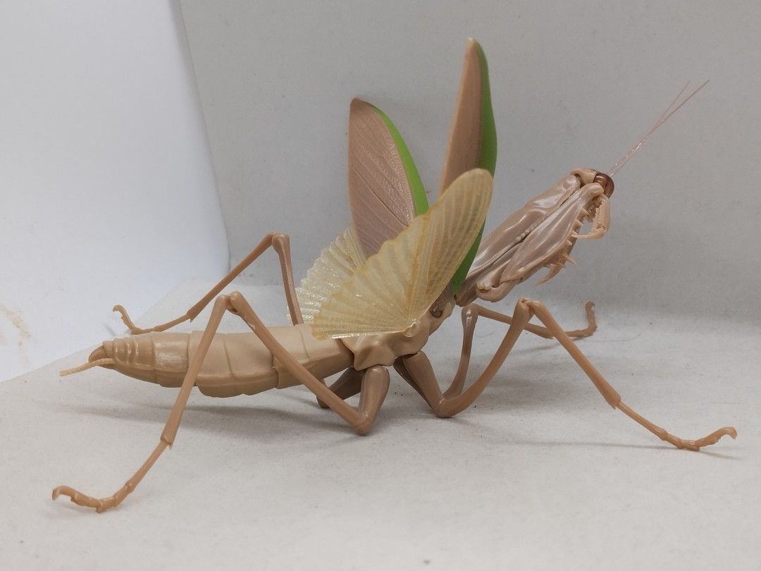 Bandai - Kamakiri Praying Mantis, Hobbies & Toys, Toys & Games on Carousell