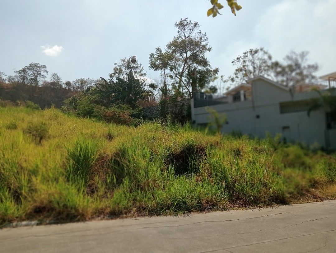 COMMERCIAL RESIDENTIAL LOTS NEAR THUNDERBIRD RESORTS ANGONO- BINANGONAN ...