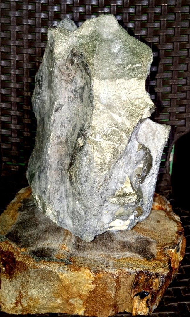 Petrified Wood slab/ fosil kayu, Antik, Lainnya di Carousell
