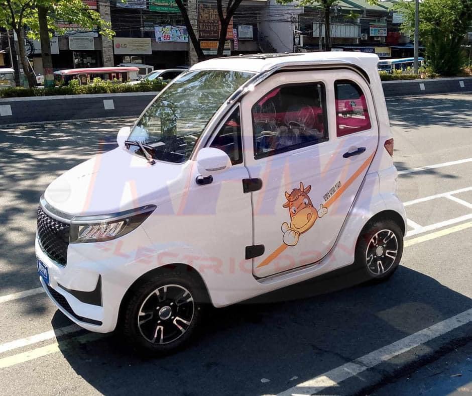 RFM Smile 1.5 eCar eVehicle electric Car 4wheels , Sports Equipment ...