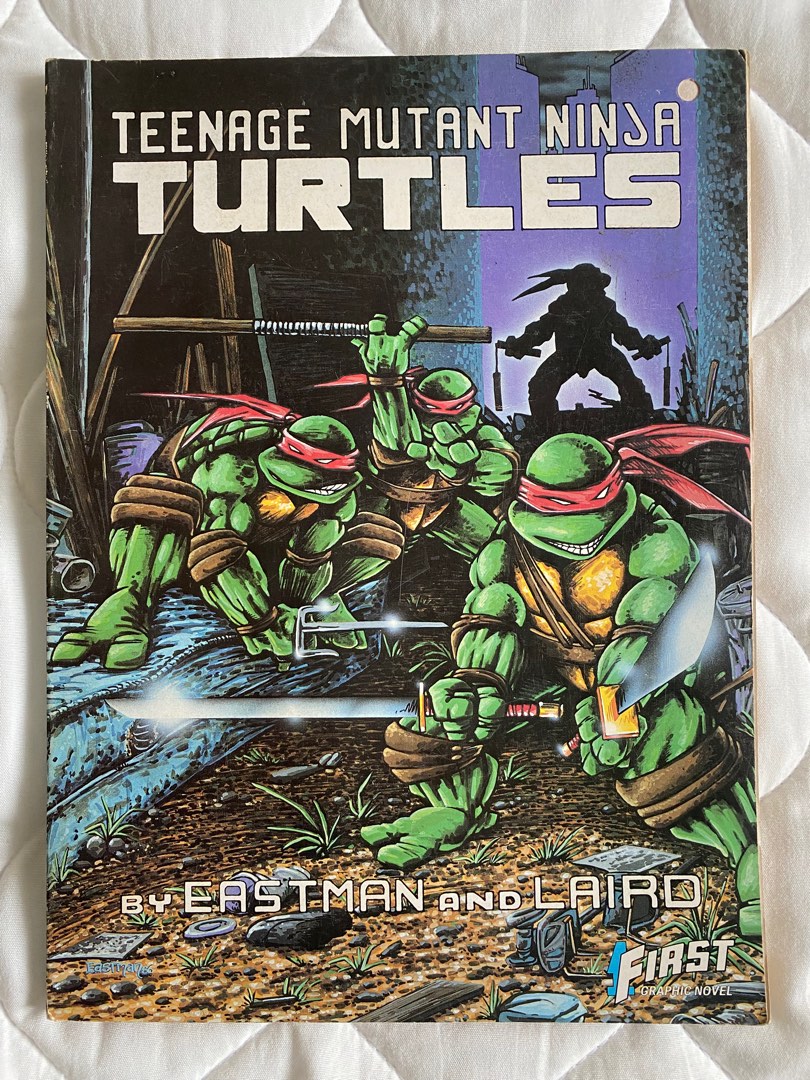 TMNT First graphic novel 1,2 &3, Hobbies & Toys, Books & Magazines ...
